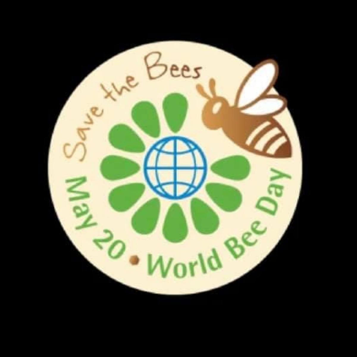 Verwood Church of England First School and Nursery - World Bee Day ...